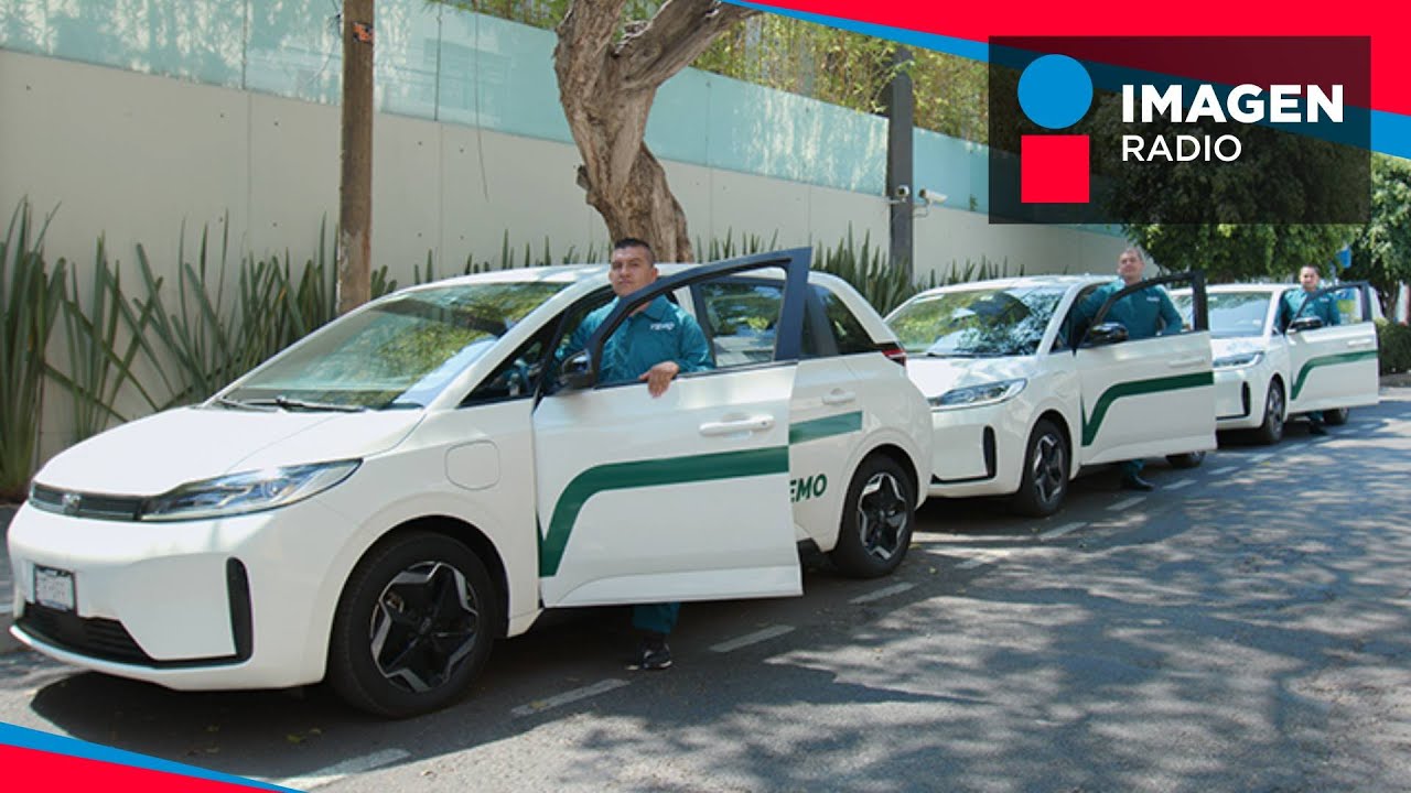 Vemo, empresa mexicana enfocada en la movilidad limpia y eléctrica ...