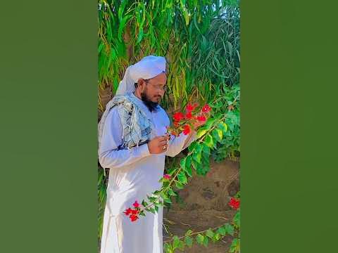 Dar e Nabi par | Ghulam Mustafa Qadri |2021 Heart Touching Naat | Kids Naat| studio5 - YouTube