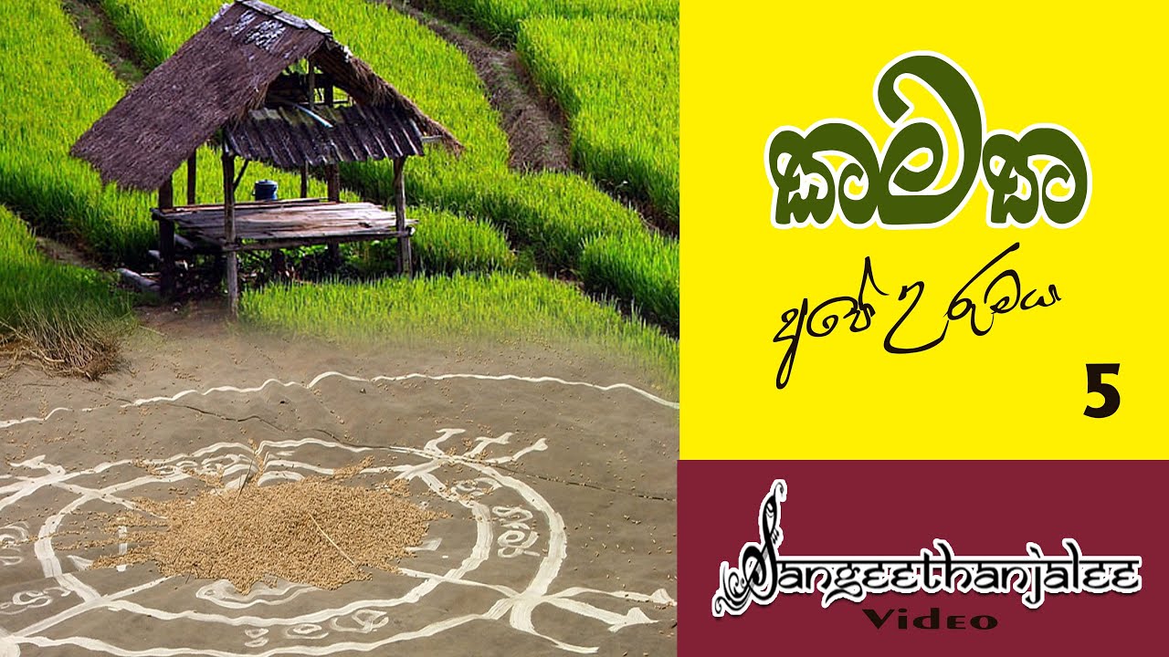 කමත Kamatha - 5 වියැකී යන අපේ හෙළ චාරිත්‍ර - වාර්තා වැඩසටහන Documentary ...