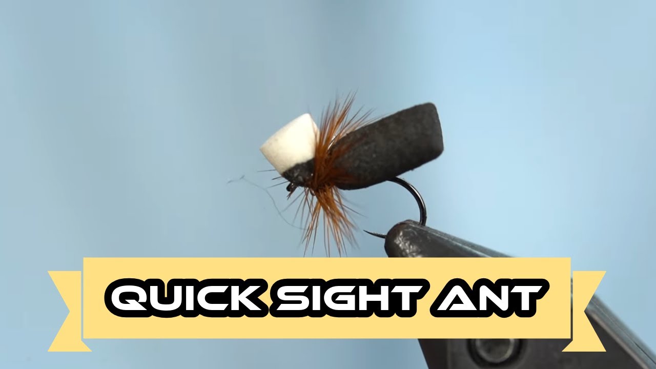 Guide Flies: Quick Sight Ant - YouTube