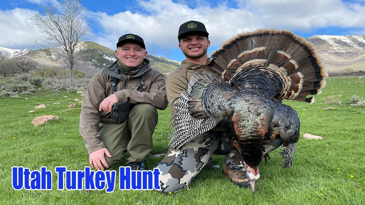 Utah Turkey Hunt - YouTube