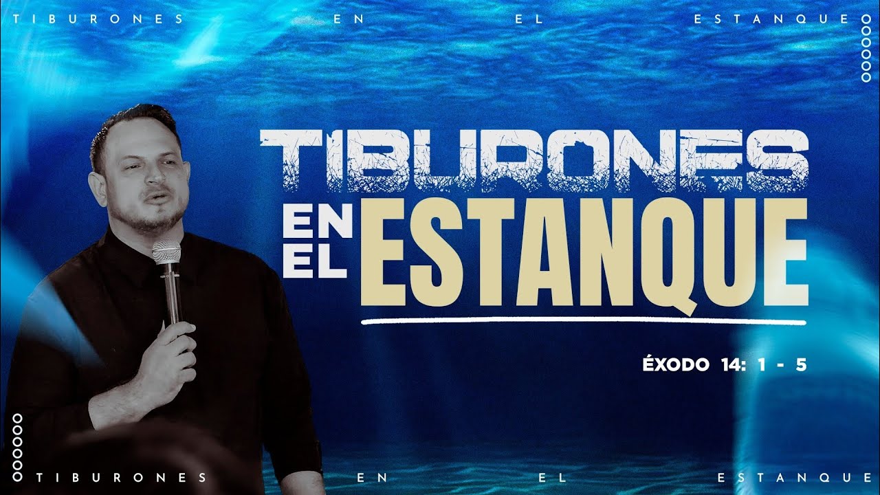 "TIBURONES EN EL ESTANQUE" | Pastor Ramón Mass Vanderbilt | La Central ...