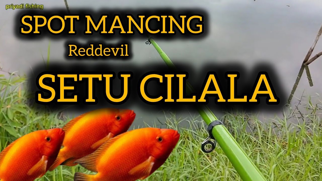 SPOT MANCING REDEVIL SETU CILALA BOGOR - YouTube