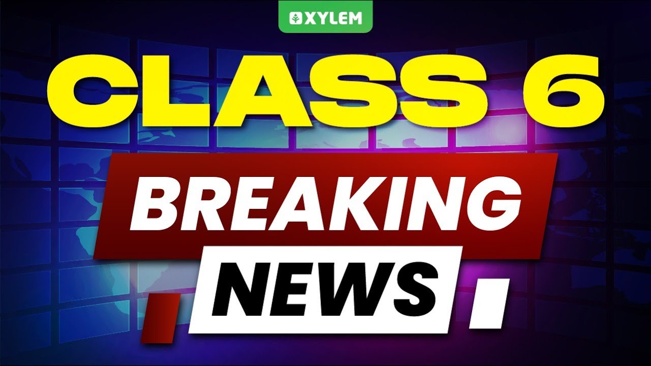 BREAKING NEWS !! | Xylem Class 6 - YouTube