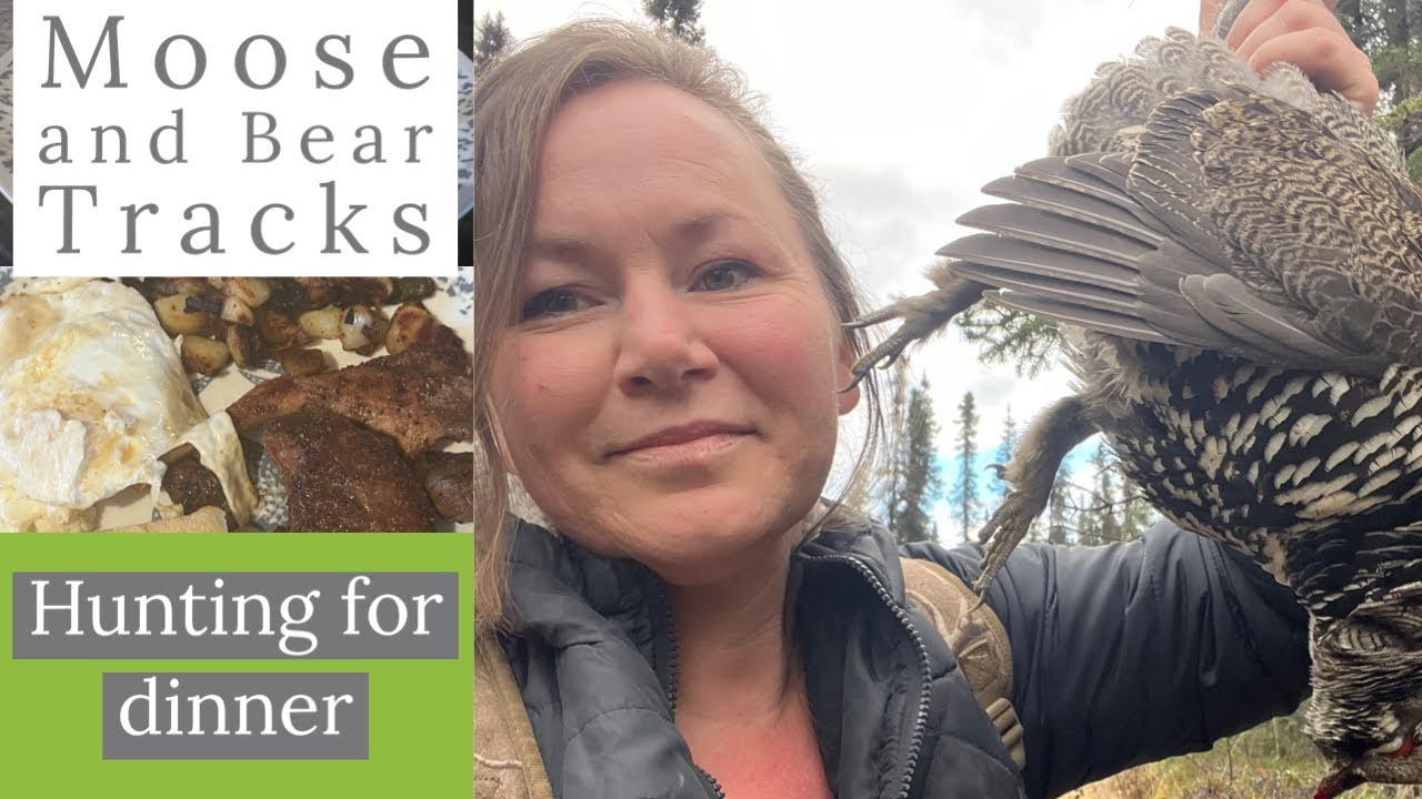 Hunting birds in Alaska-moose bears and fool hens ??? - YouTube