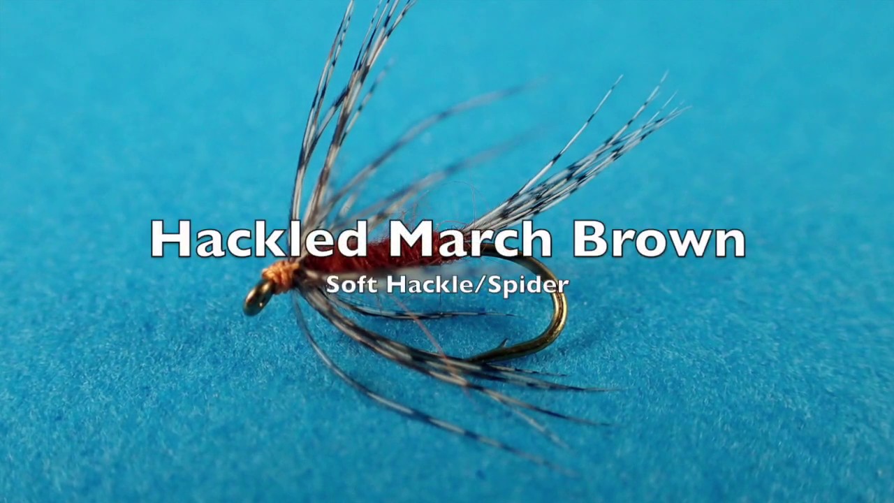 Hackled March Brown Spider - YouTube