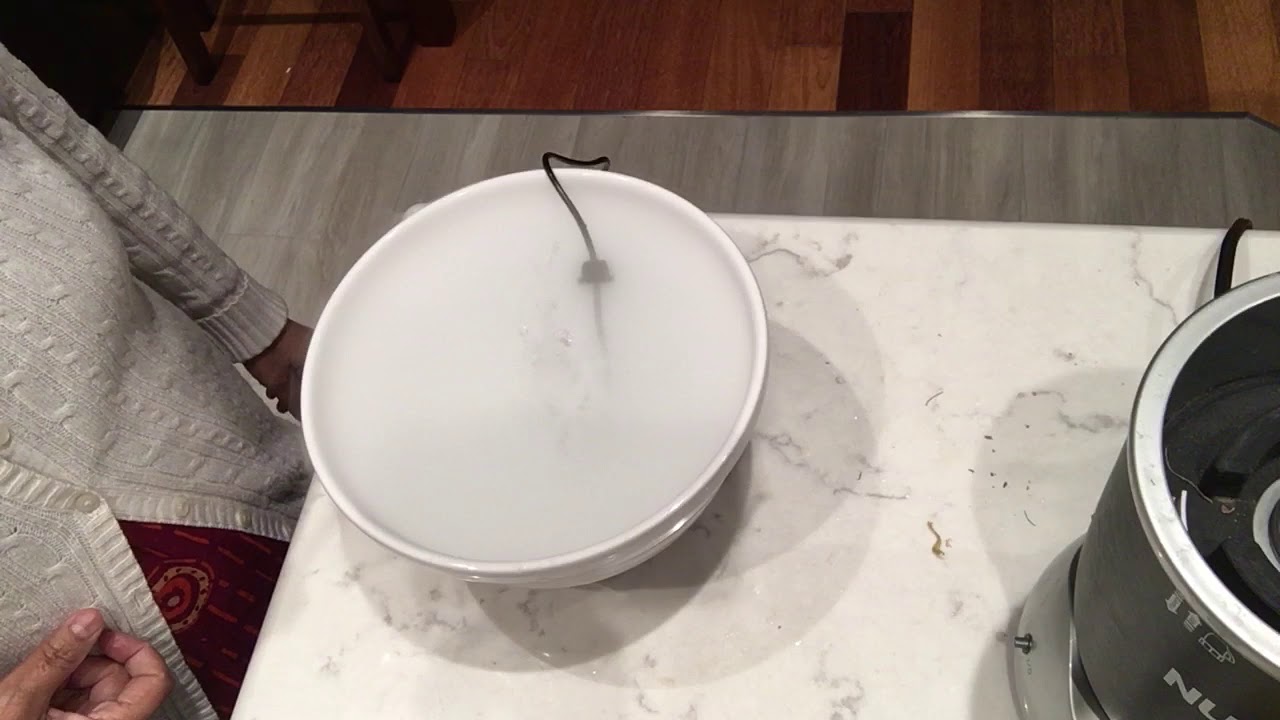 November 29, 2017.my new water bubble humidity bowl setup. - YouTube