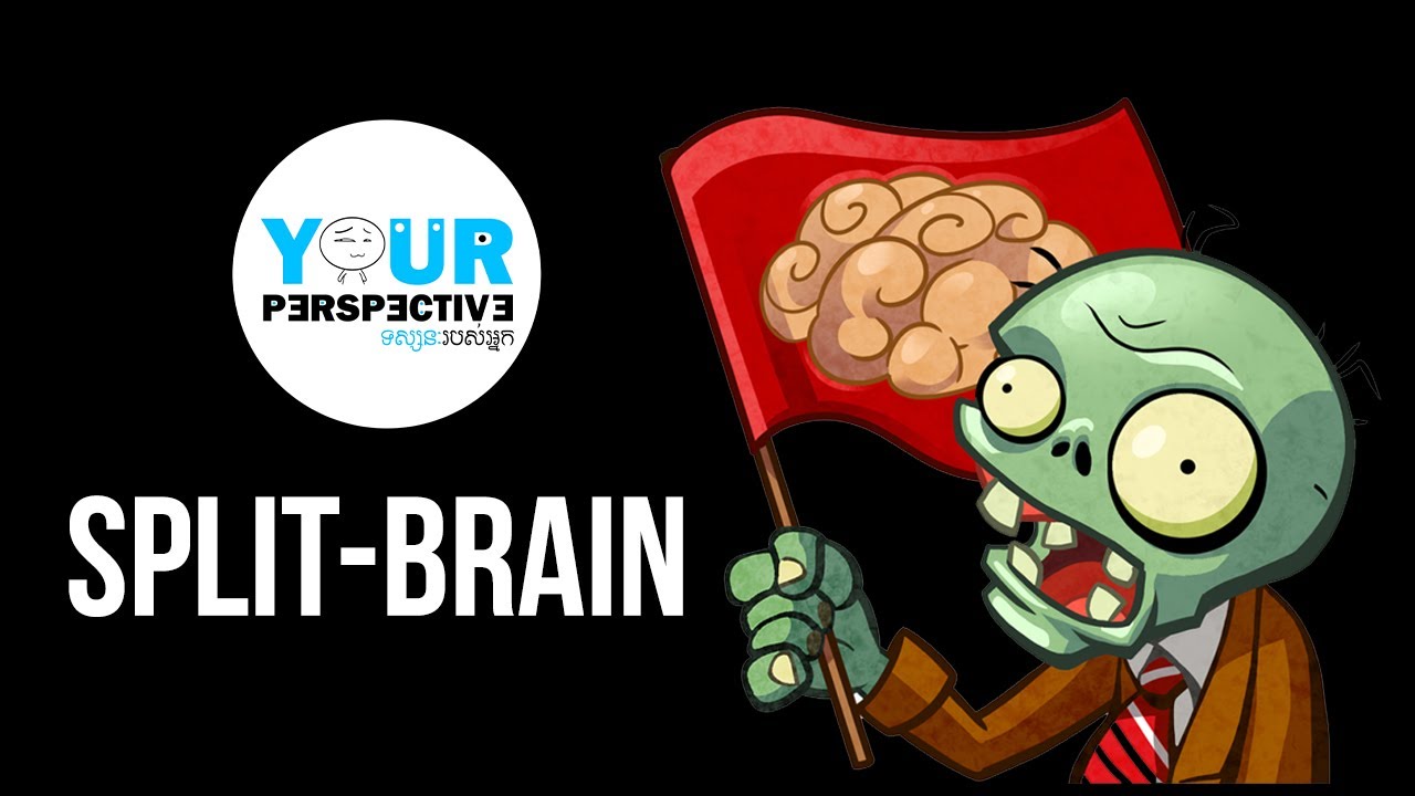 EP81 - Split-Brain - YouTube