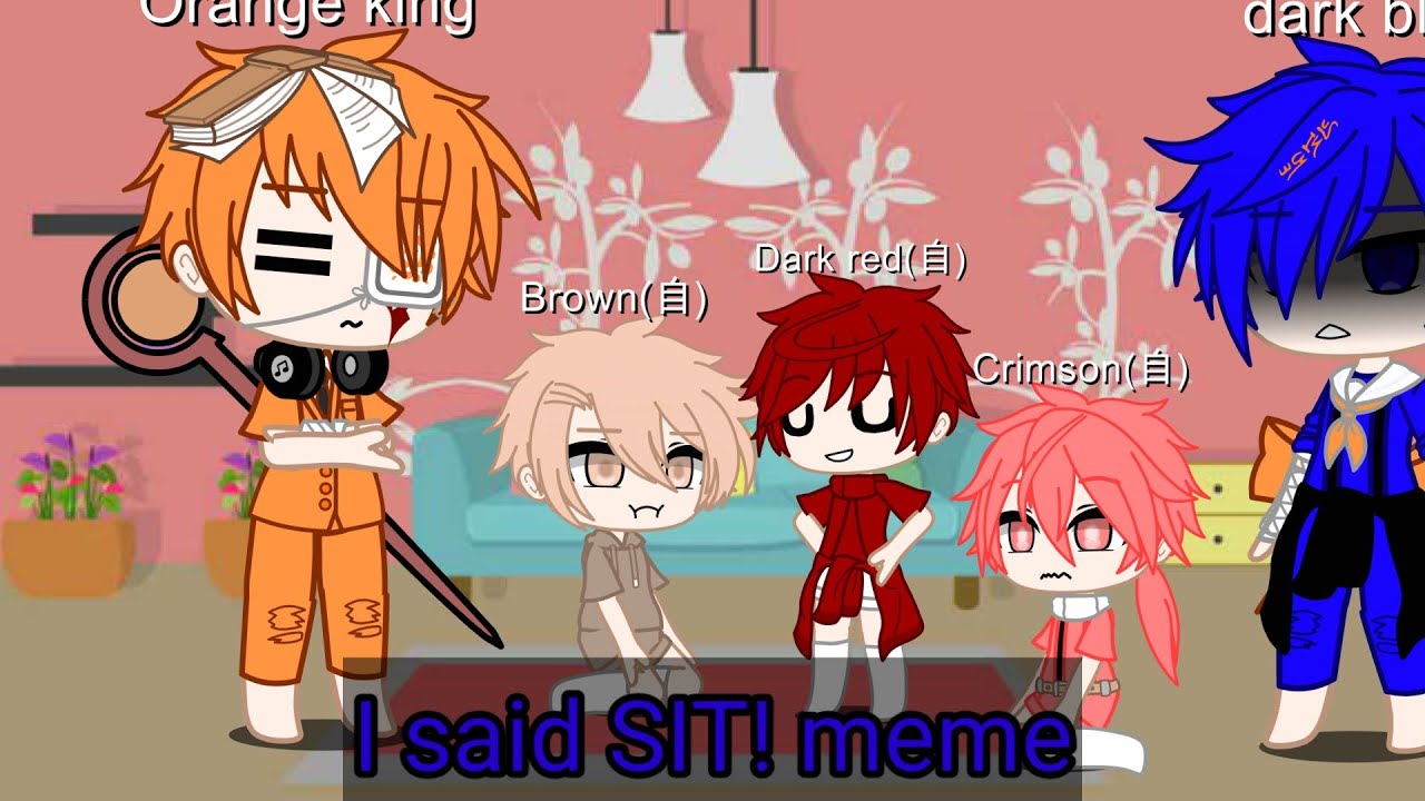 I said SIT!!! meme|AvM| - YouTube