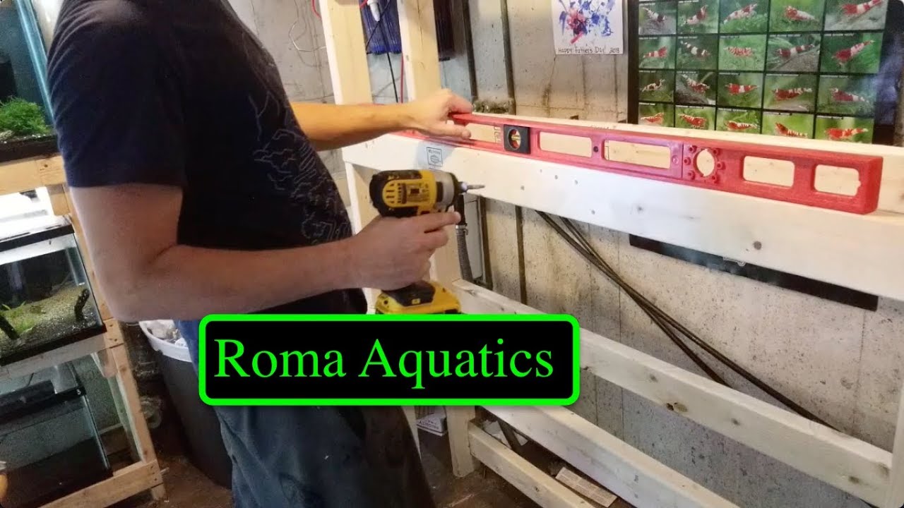 DIY Shrimp Tank Rack - Wooden 2x4 Rack 🆒 - YouTube