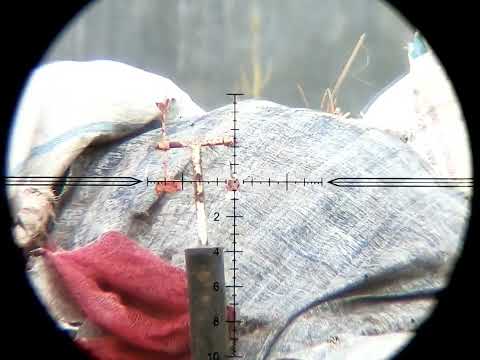 Taipan veteran Call 177(4,5) metal sihoute ,37 meter,jsb monster 13,43g