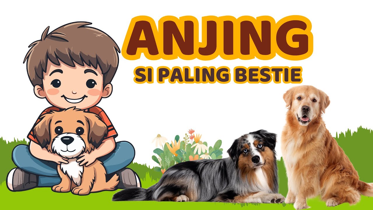 Mengenal Hewan Peliharaan Anjing - Binatang Sahabat Manusia yang Paling ...