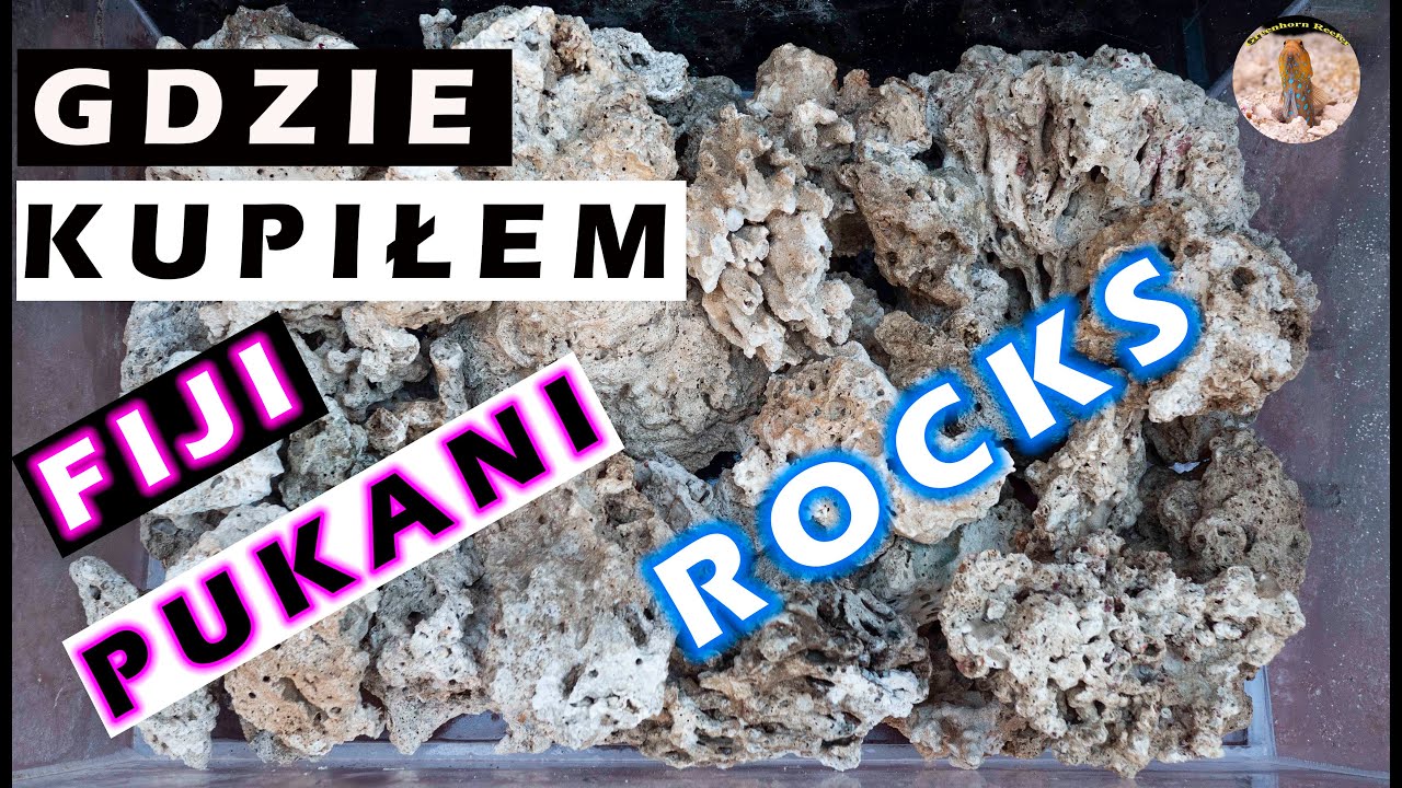 SKARBY💎💎 | New Aquascape | Fiji Pukani Rocks | 300 L California Reef ...