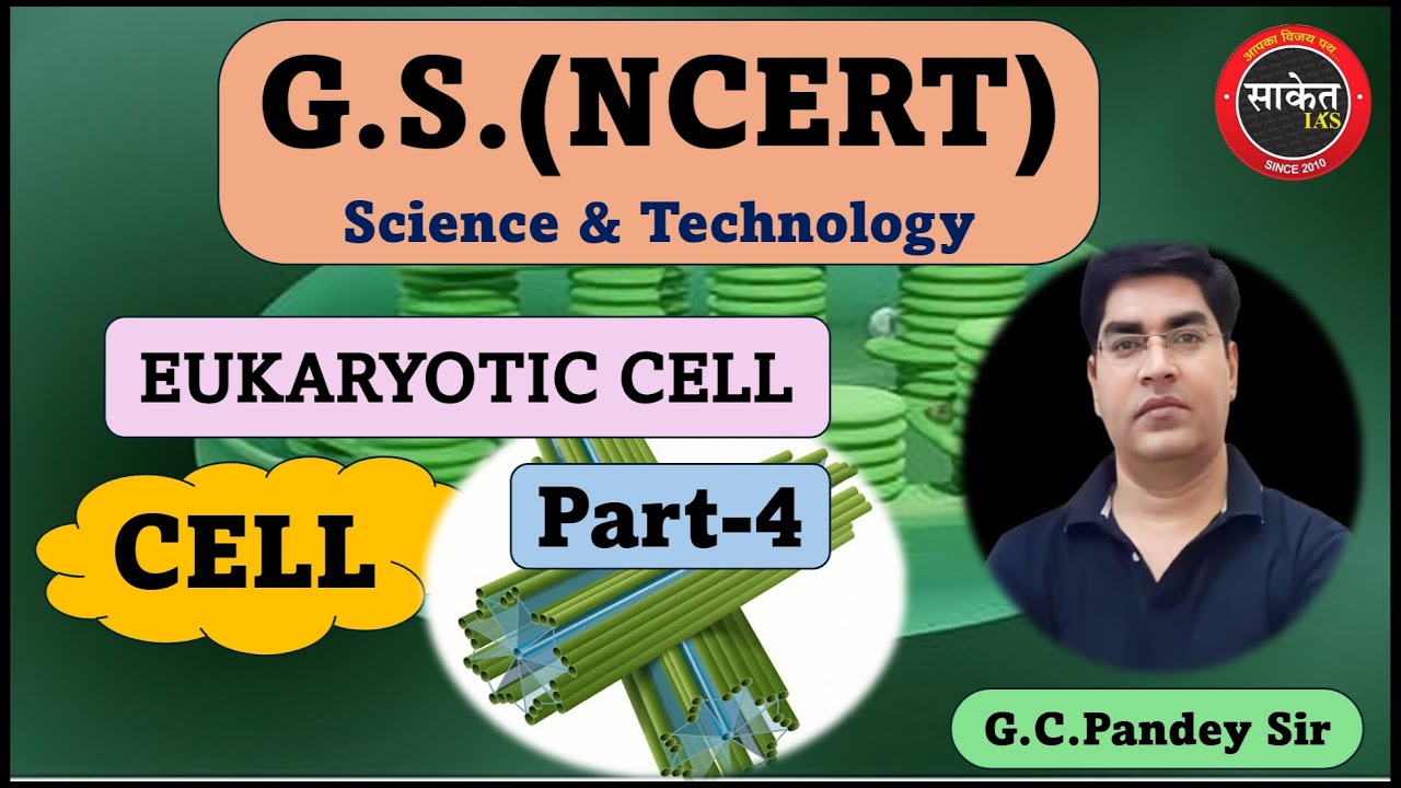 "Eukaryotic Cell"(Part-4)_(Centrosome,Plastids,Chloroplast,Vacuoles ...