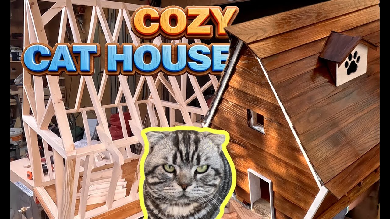 Building a Giant Cozy Castle: My DIY Wooden Cat House Adventure - YouTube