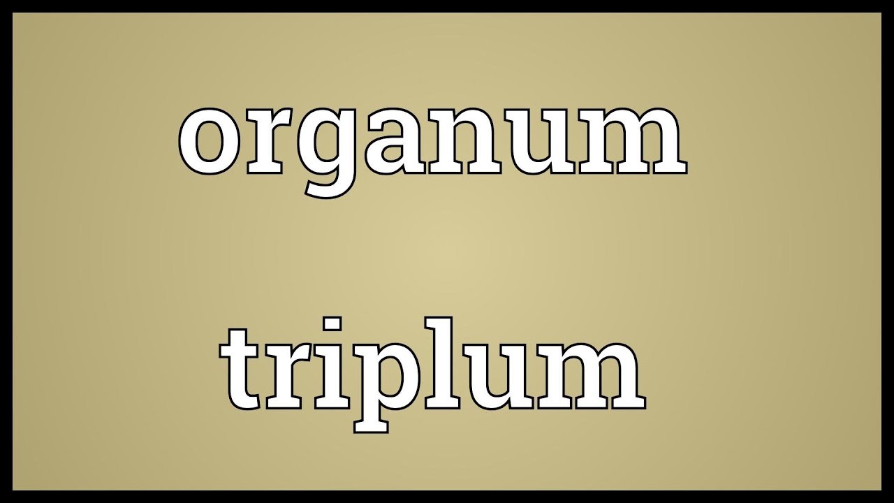 Organum triplum Meaning - YouTube