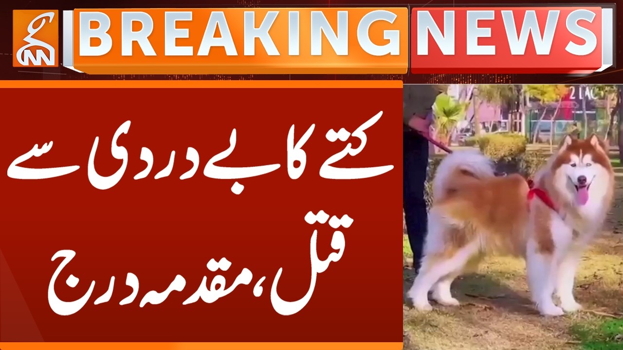 Dog brutally killed, case registered, Breaking News | GNN - YouTube