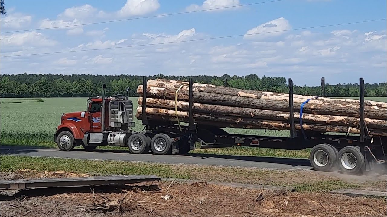 Heavy Equipment Logging Operation - YouTube