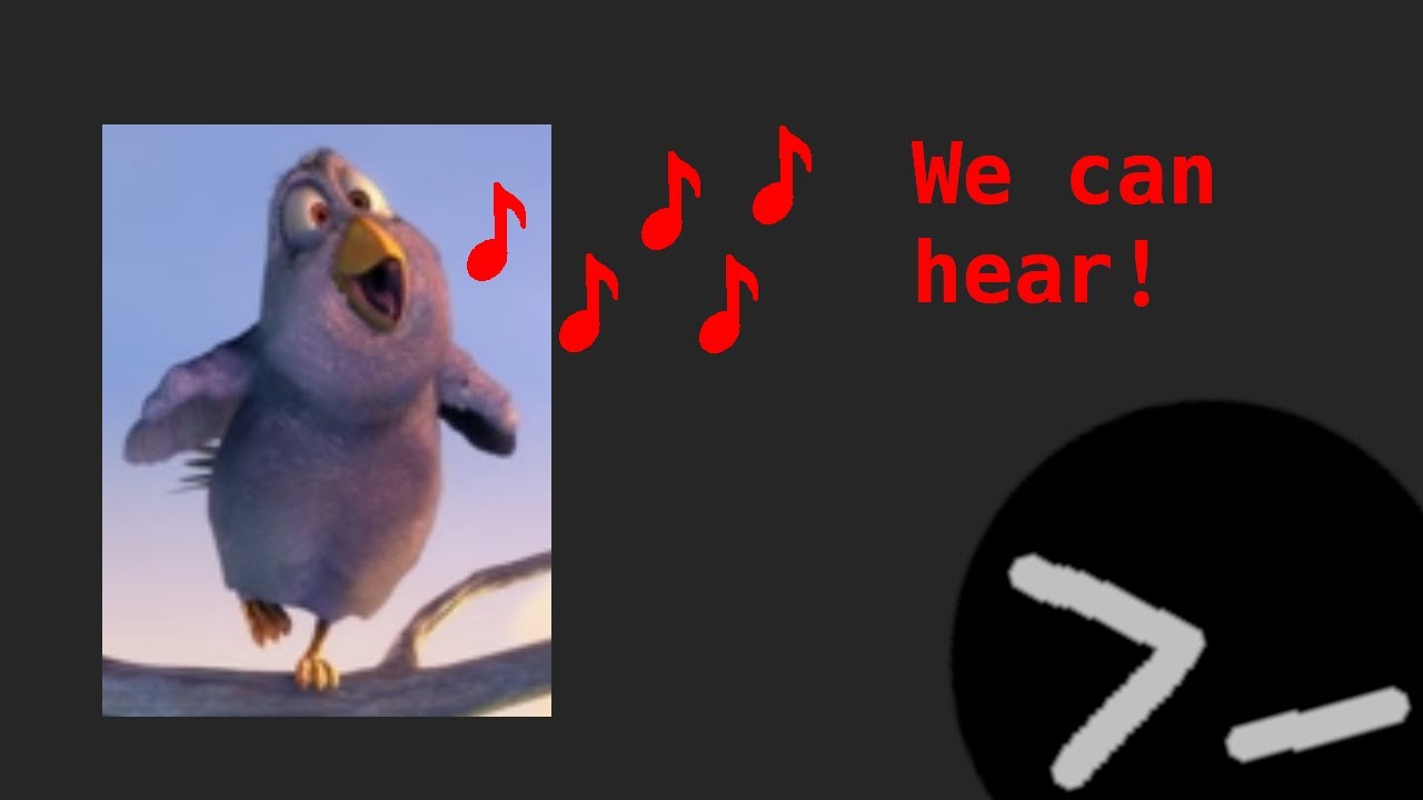Playing back sound in our zig video player - YouTube
