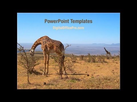 Wild Giraffes PowerPoint Template Backgrounds - DigitalOfficePro #00140 ...