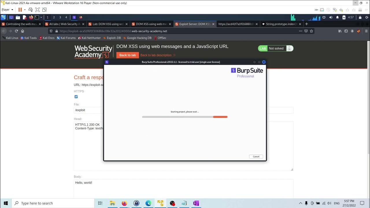Lab: DOM XSS using web messages and a JavaScript URL - YouTube