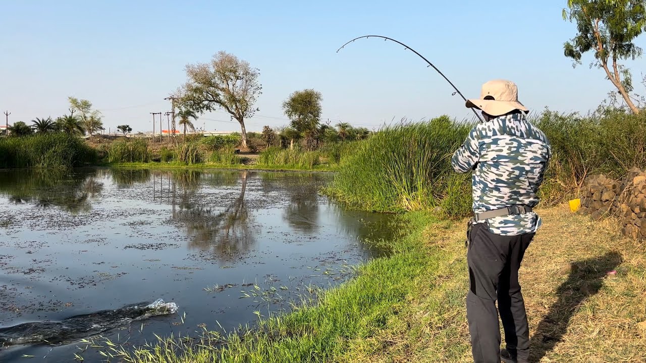 Shandar snakehead fish big bull fish gujar fish hunting best lure - YouTube
