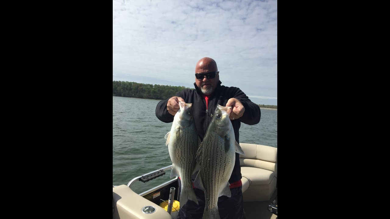 How To Catch Hybrid Stripers (Wipers) with the Wiper Sniper, Kevin Hill ...