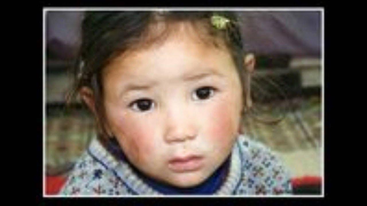 SHER DARYA 07 of 60 - YouTube