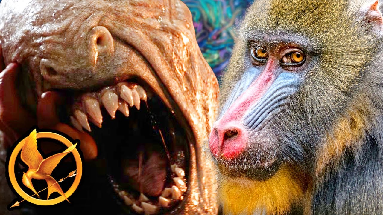 The Strange Animals Featured in The Hunger Games - YouTube