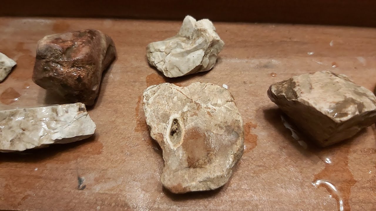 New Debitage, Bird Stones And Lion - YouTube