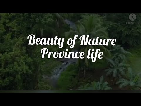 Explore the Beauty of Nature in Province life / Philippines - YouTube