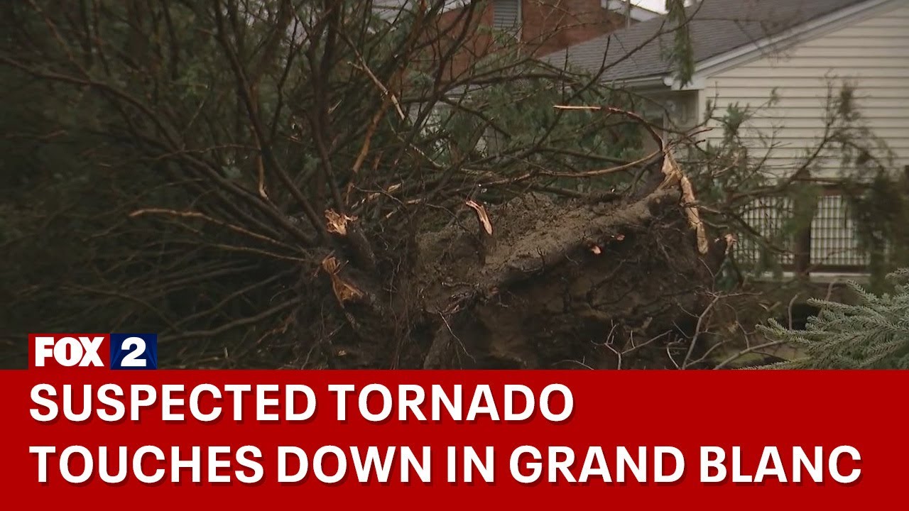 Suspected Grand Blanc tornado rips trees out of ground, damages homes ...