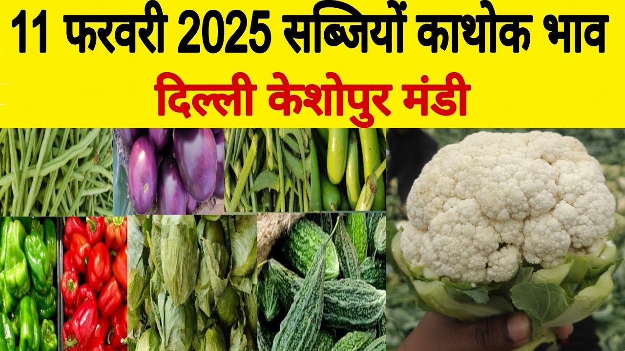 Today Vegetable market price | vegetable market rate | 10 February 2025 ...