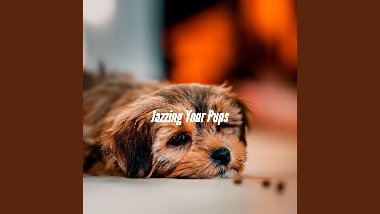 Background for Classy Pups - YouTube
