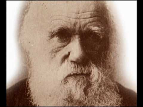 Denizlerdeki İhtişam - Bölüm 4/4