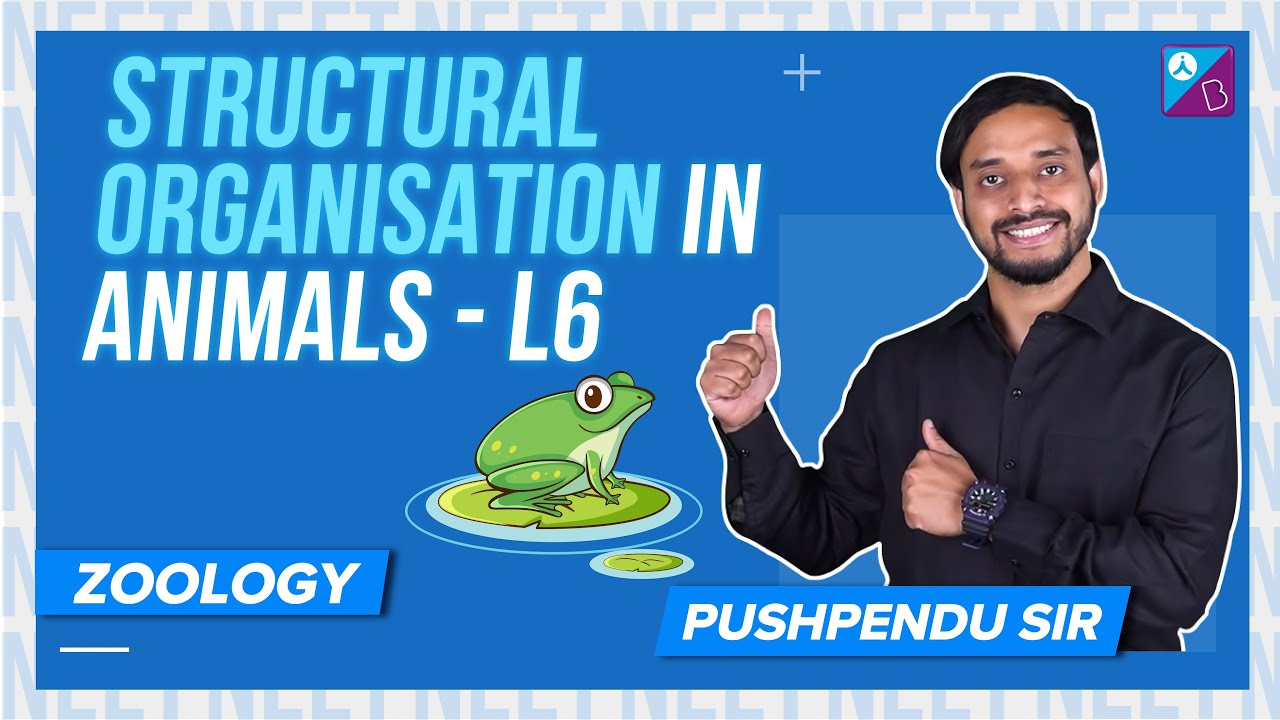 Morphology and Anatomy of Frog - Structural Organisation in Animals ...