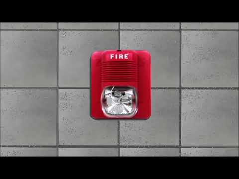 System Sensor P241575 Fire Alarm - YouTube