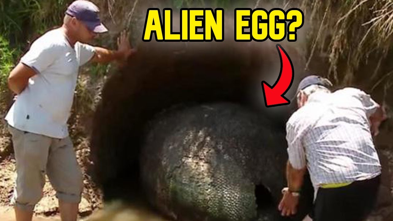 Farmer Find A Possible Alien Egg, Then A Scientist Tells Him The Truth ...