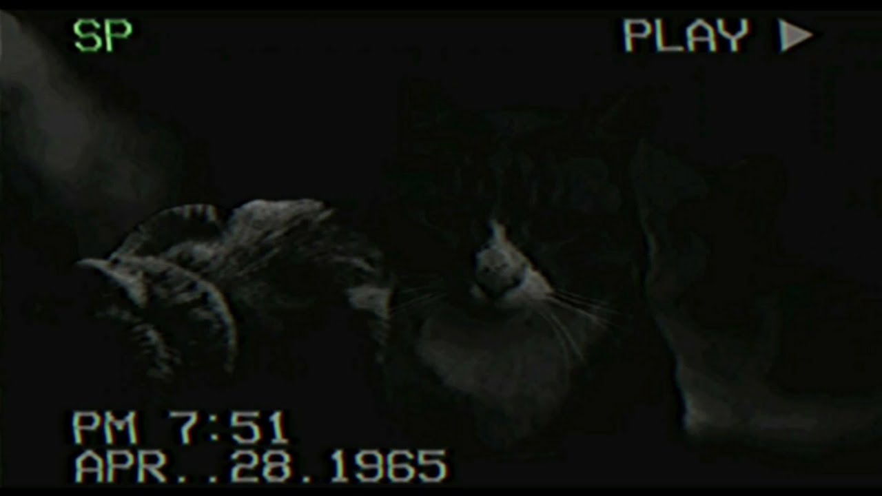 Yeats.and.friends.old.yeats - YouTube