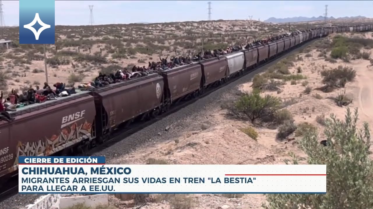 🇲🇽 El Peligroso Tren "La Bestia" vuelve a llevar migrantes para cruzar ...