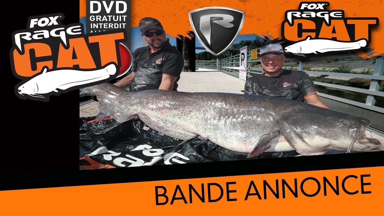 ***FOX RAGE CAT France*** La Bande Annonce Film - YouTube