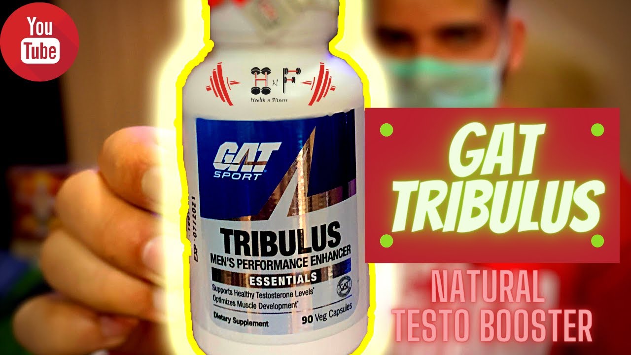 Gat Tribulus 💪🏻| Natural Testosterone Booster🤩 - YouTube