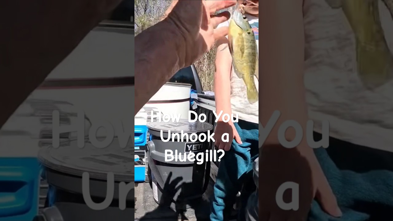 Showing Kids How to Safely Unhook a Fish! #teachkidstofish #shorts ...