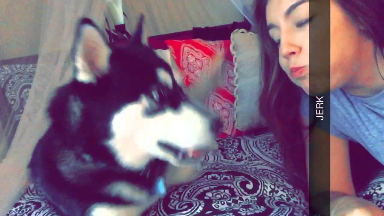When you want to kiss bae but she mad at you. - YouTube