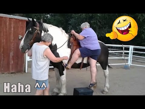 Funny videos 2018 - Just For Laughs - Comedy videos funny whatsapp P17