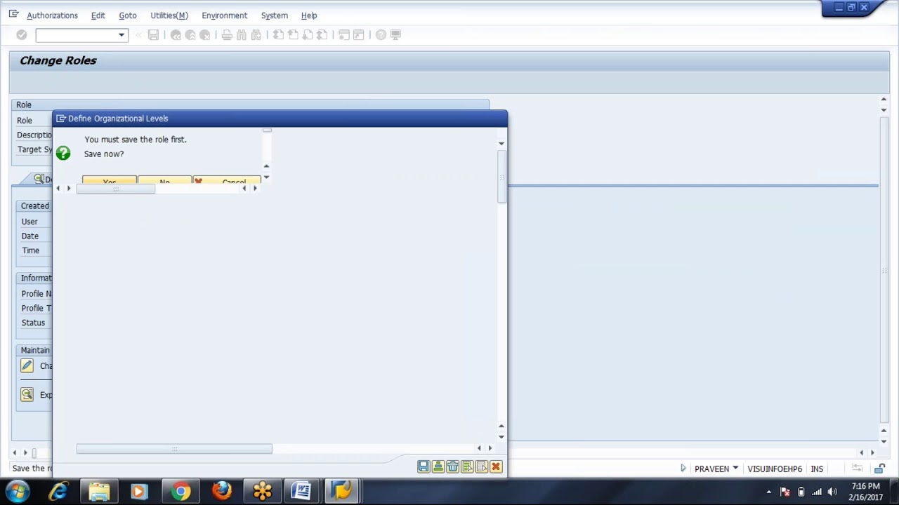Day 7 - Authorization Tab in PFCG - YouTube