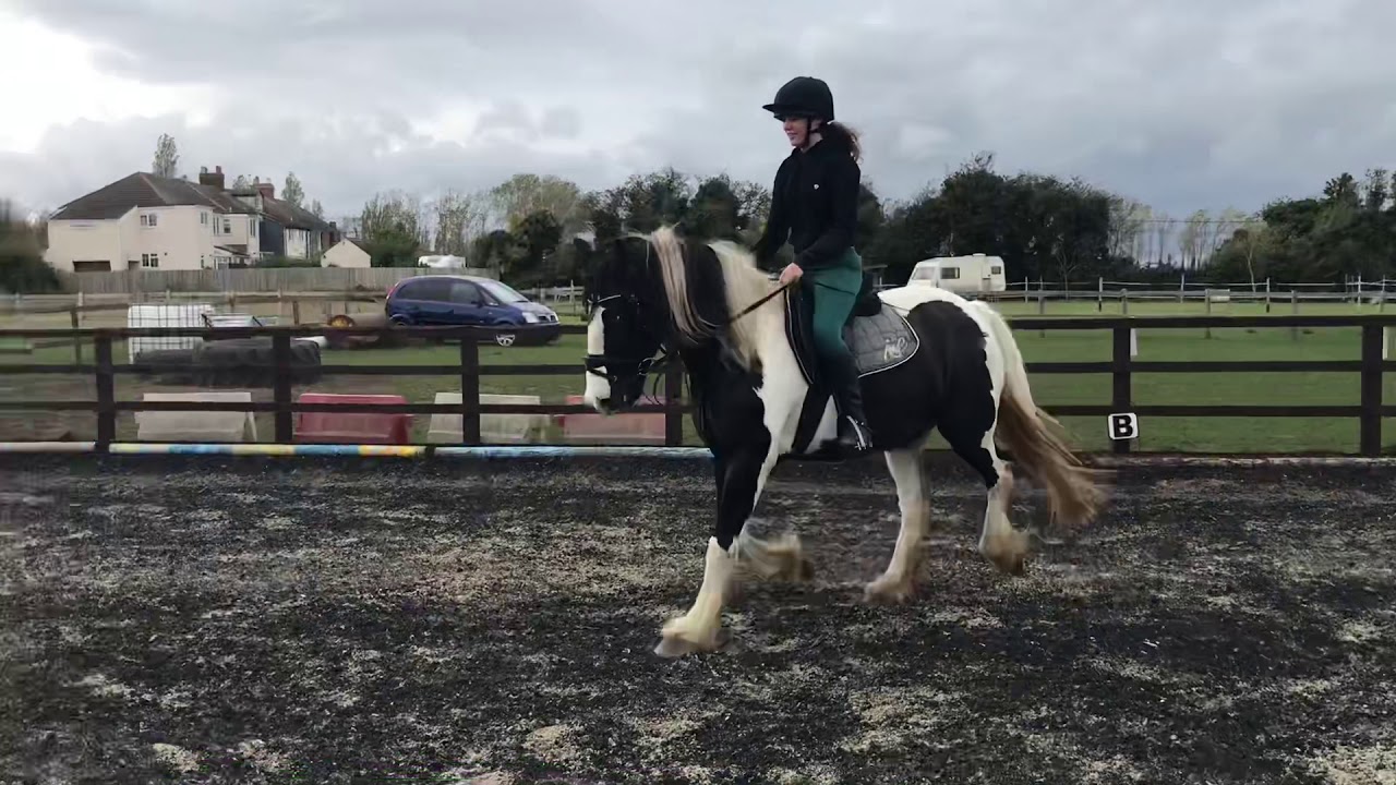 Flatwork edit | learning walk to canter - YouTube