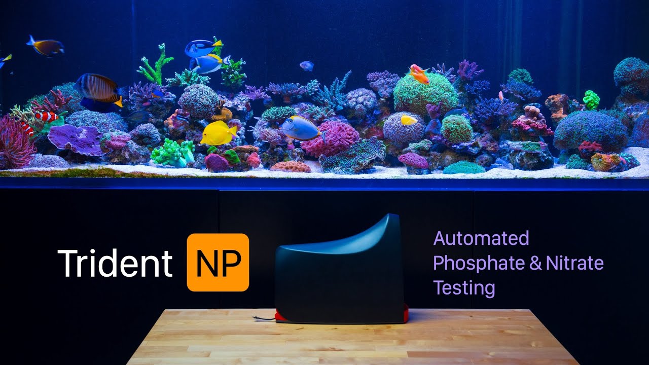 Neptune Trident NP First Look - YouTube