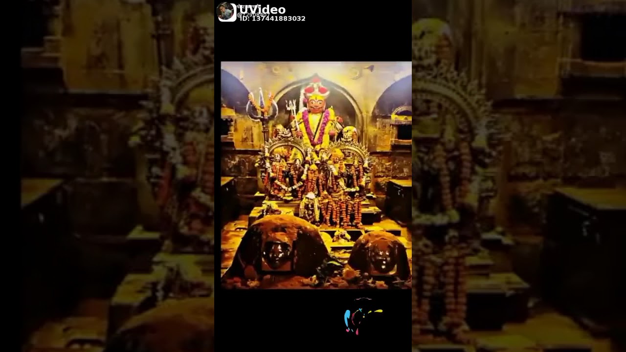 3 February 2020 - YouTube