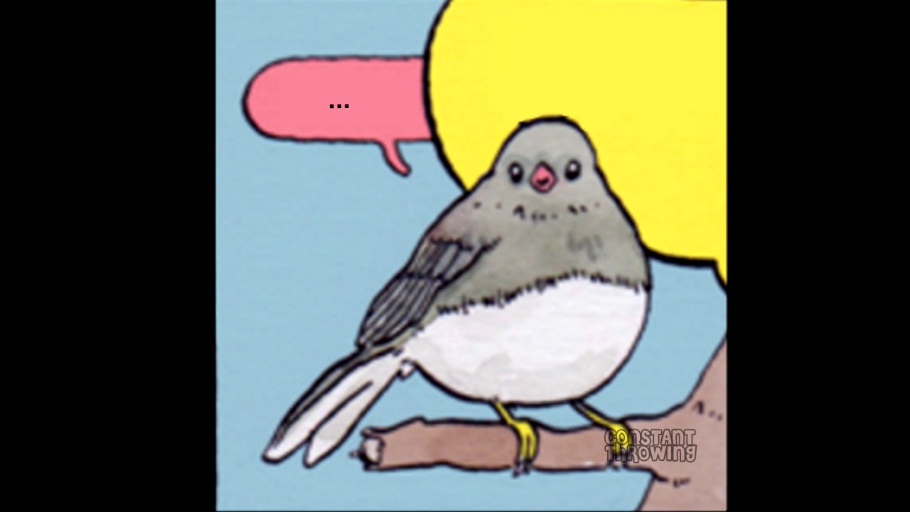 Divorced Bird Meme - YouTube
